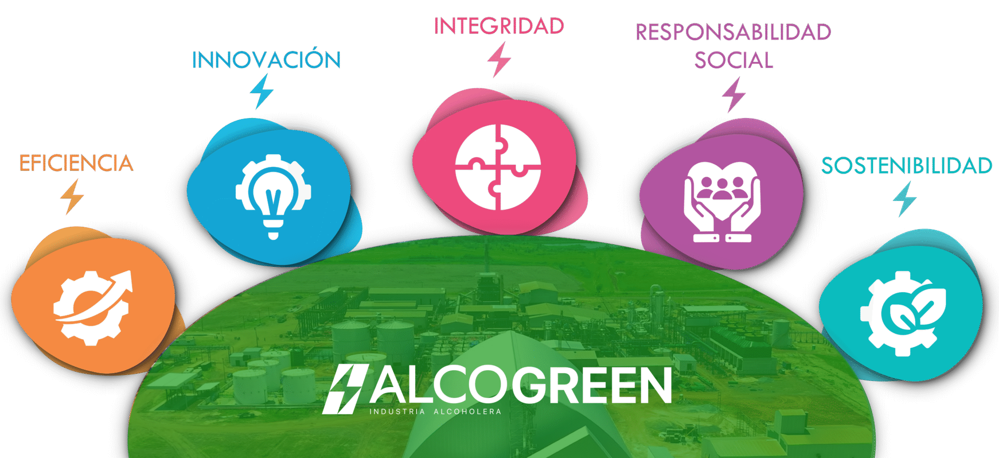 Quienes Somos – Alcogreen